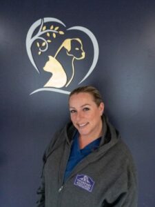North Branford, CT 06471 Veterinarians | Veterinary Associates Of North ...
