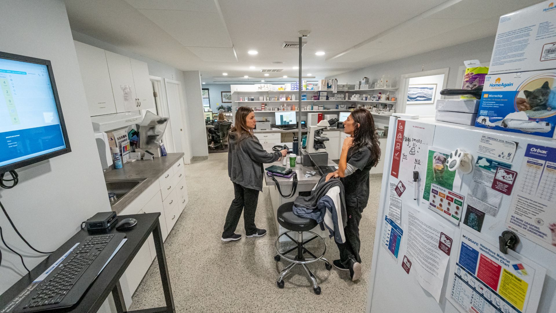 Pet In-House Laboratory In North Branford, CT 06471 | Veterinary ...