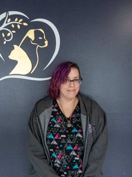 North Branford, CT 06471 Veterinarians | Veterinary Associates Of North ...